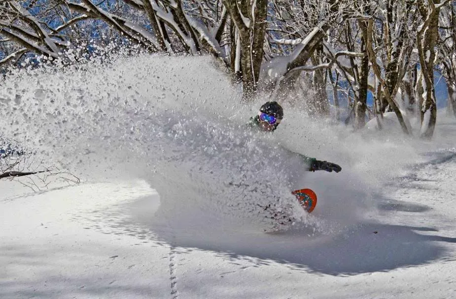 Hakuba Snow Report & Weather | Japan Ski Experience