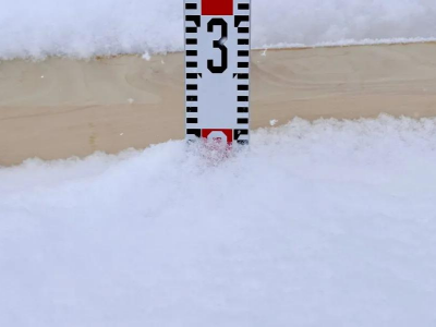 Early March Delivers with 19cm of Fresh Snow! | Japan Ski Experience